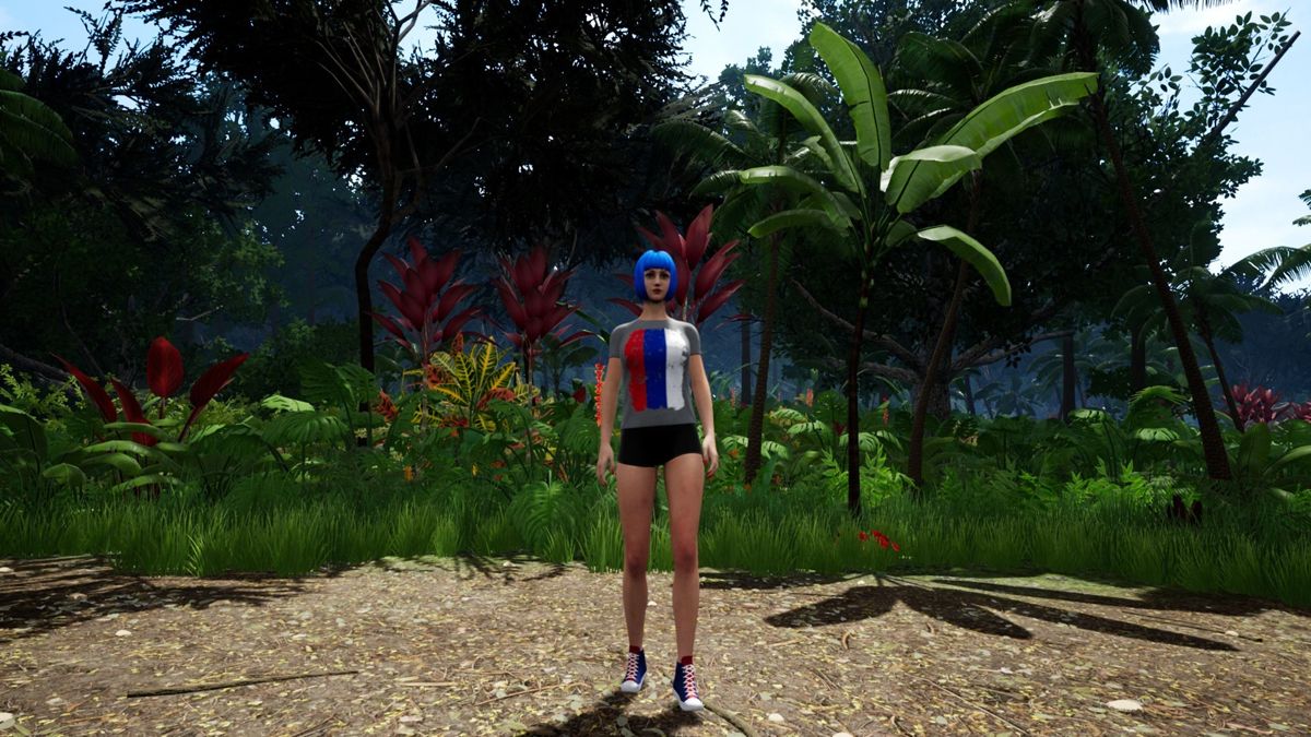 Capsa: Russian Clothing Patterns Pack official promotional image - MobyGames