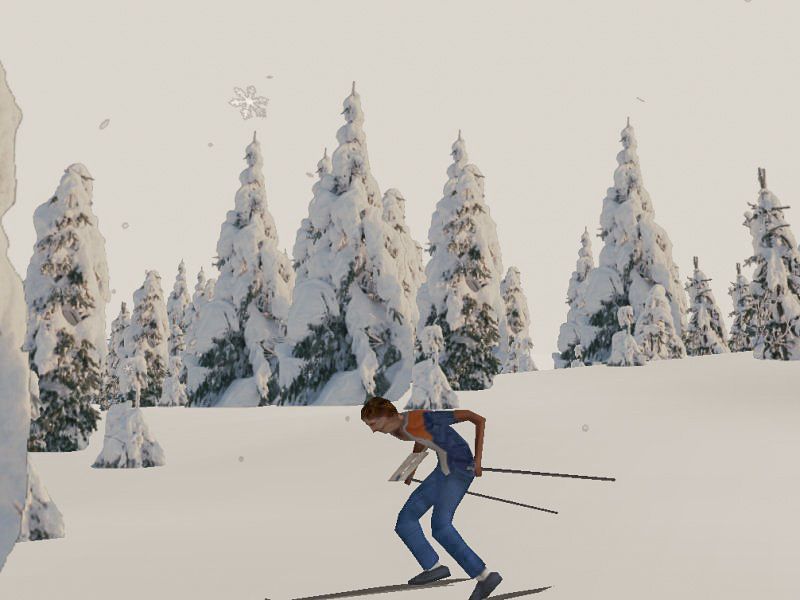 Catching Features official promotional image - MobyGames