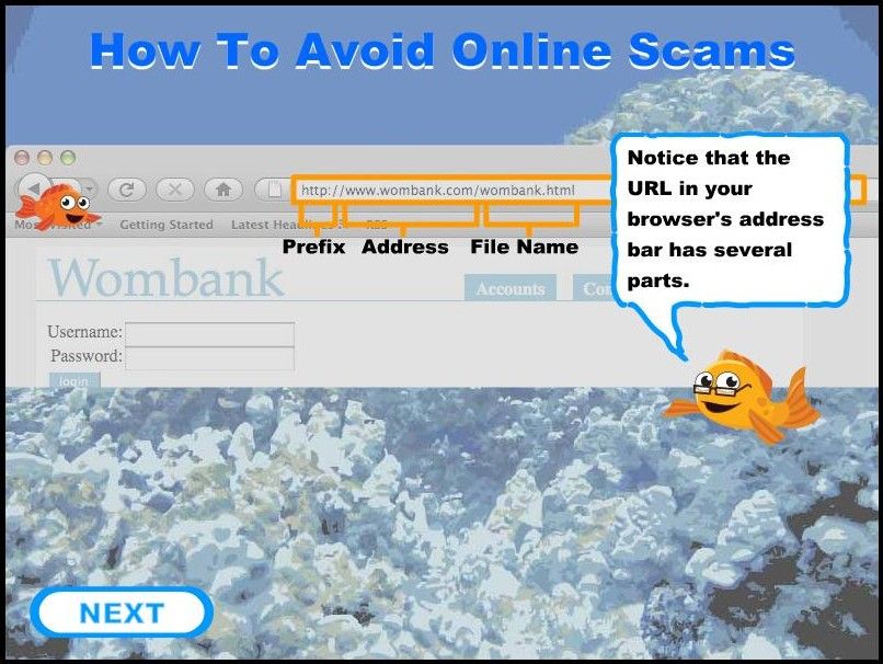 Screenshot of Anti-Phishing Phil (Browser, 2008) - MobyGames