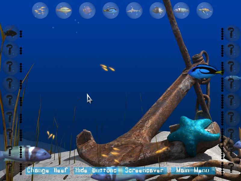 Screenshot of Big Kahuna Reef 2: Chain Reaction (Windows, 2006) - MobyGames