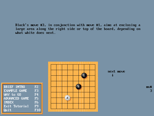 Screenshot of The Many Faces of Go (DOS, 1991) - MobyGames