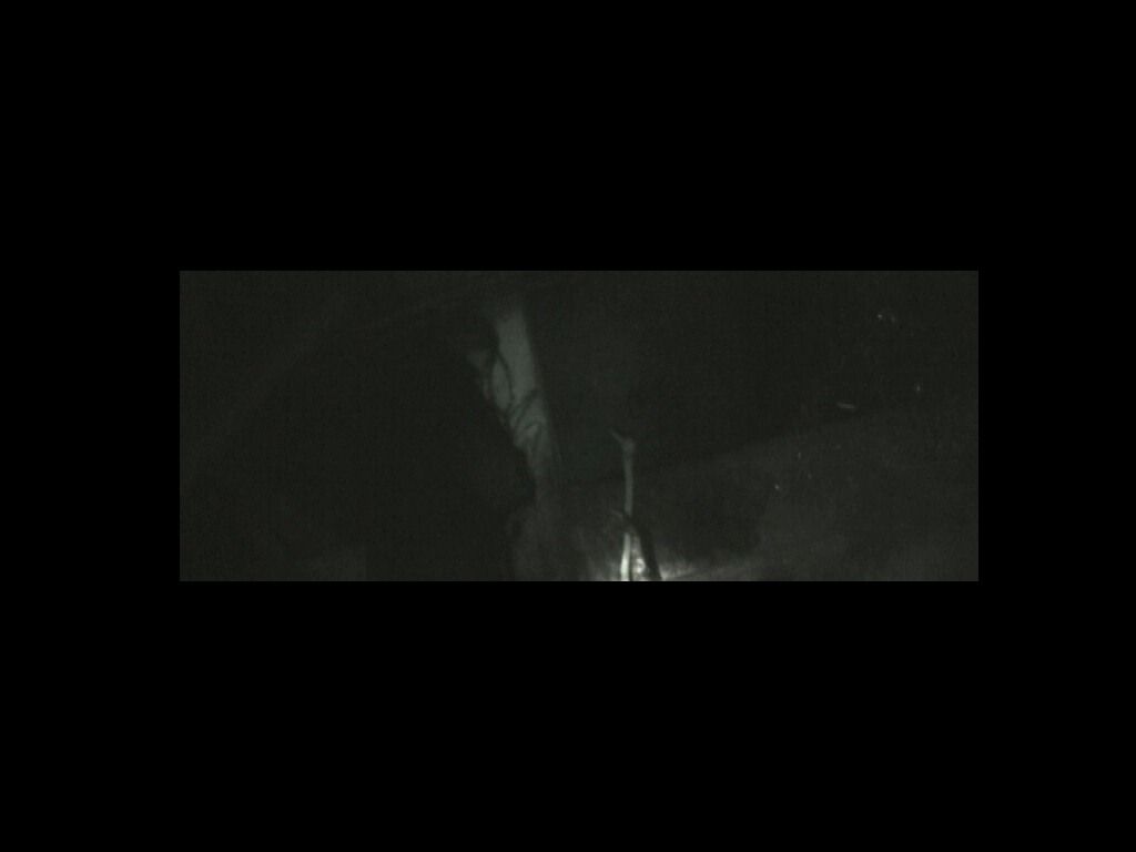 Screenshot of Missing (Windows, 2003) - MobyGames