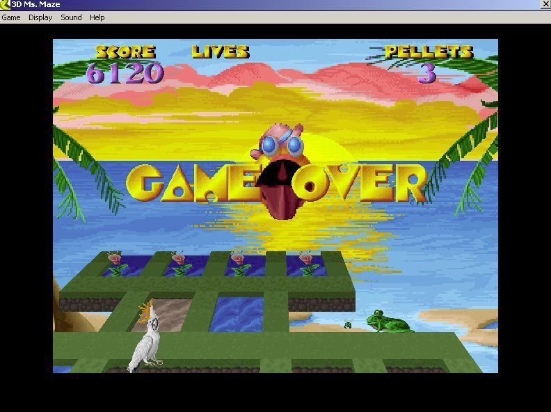Screenshot of 3D Ms. Maze: Tropical Adventures (Windows, 1998) - MobyGames