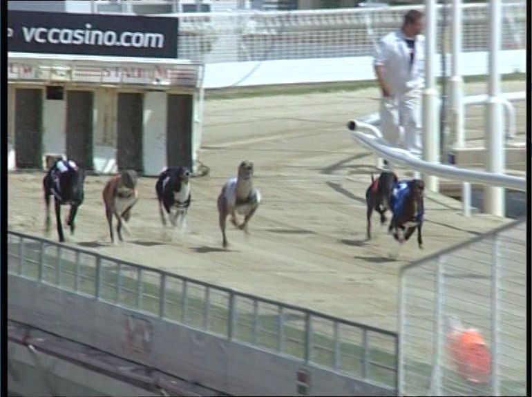 Screenshot of Vinnie Jones: Gone to the Dogs (DVD Player, 2005) - MobyGames