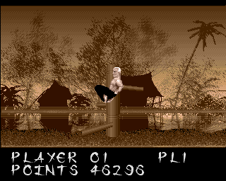 Screenshot of Full Contact (Amiga, 1991) - MobyGames