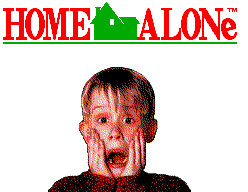 Home Alone (1993) - MobyGames