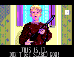 Screenshot of Home Alone (SEGA Master System, 1993) - MobyGames