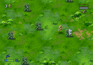 Screenshot of The Lost World: Jurassic Park (Genesis, 1997) - MobyGames