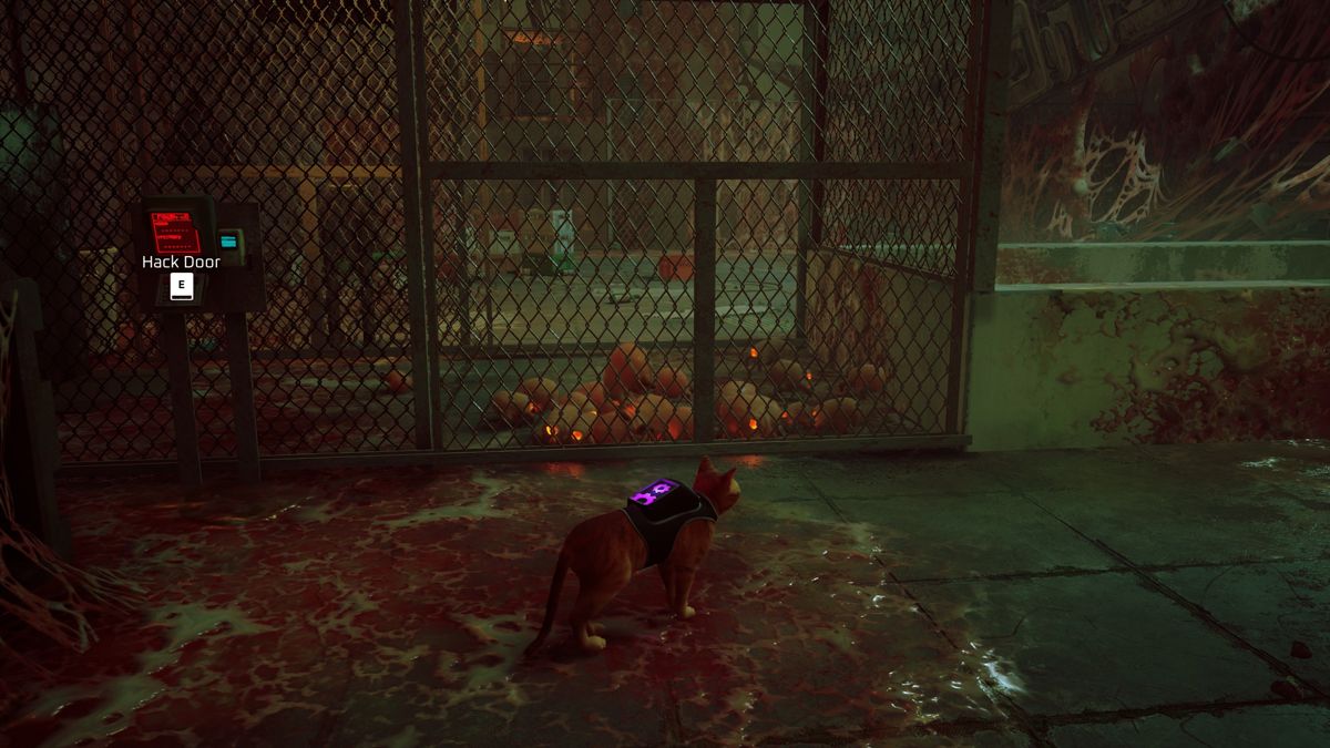 Screenshot of Stray (Windows, 2022) - MobyGames