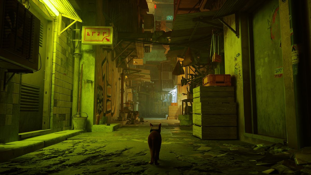 Screenshot of Stray (Windows, 2022) - MobyGames