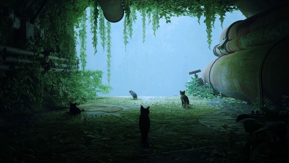 Screenshot of Stray (Windows, 2022) - MobyGames