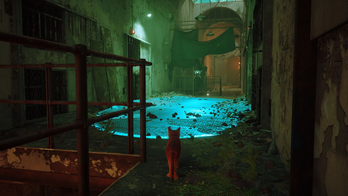 Screenshot of Stray (Windows, 2022) - MobyGames
