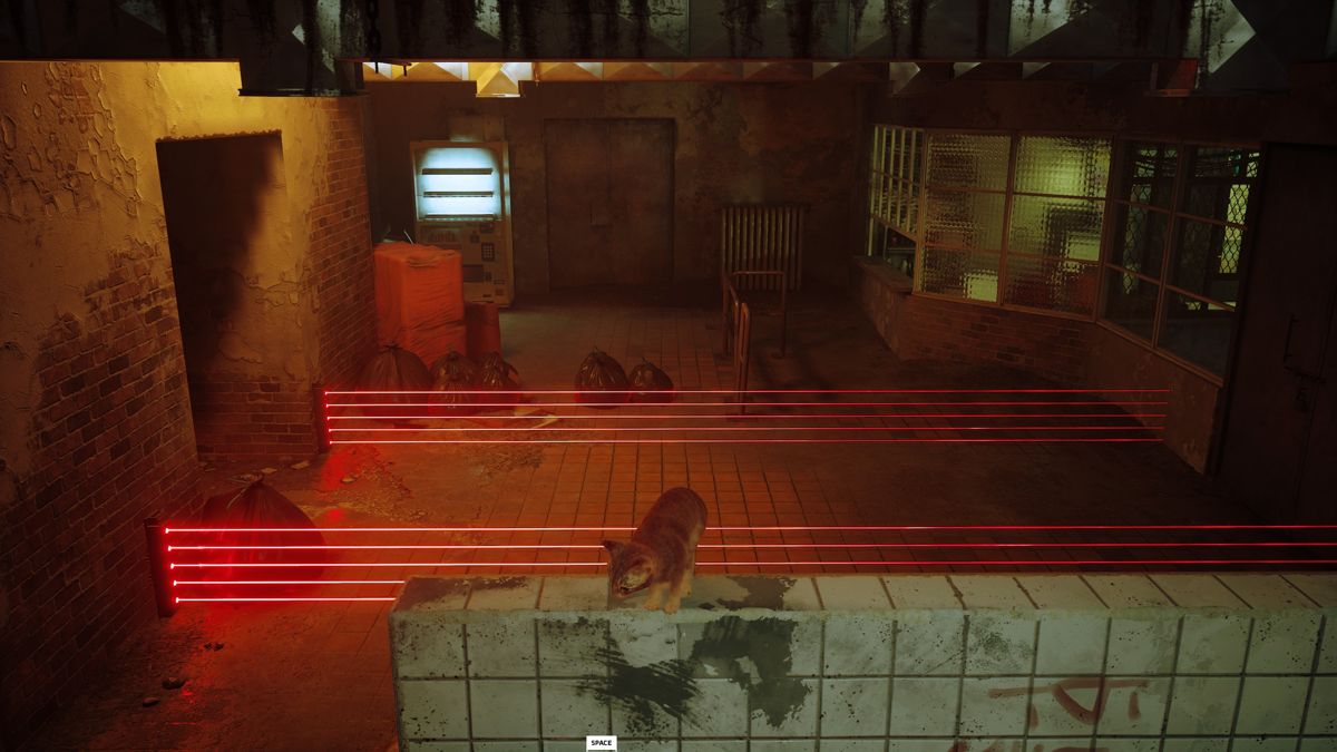 Screenshot of Stray (Windows, 2022) - MobyGames