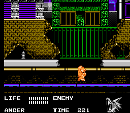 Screenshot of Werewolf: The Last Warrior (NES, 1990) - MobyGames