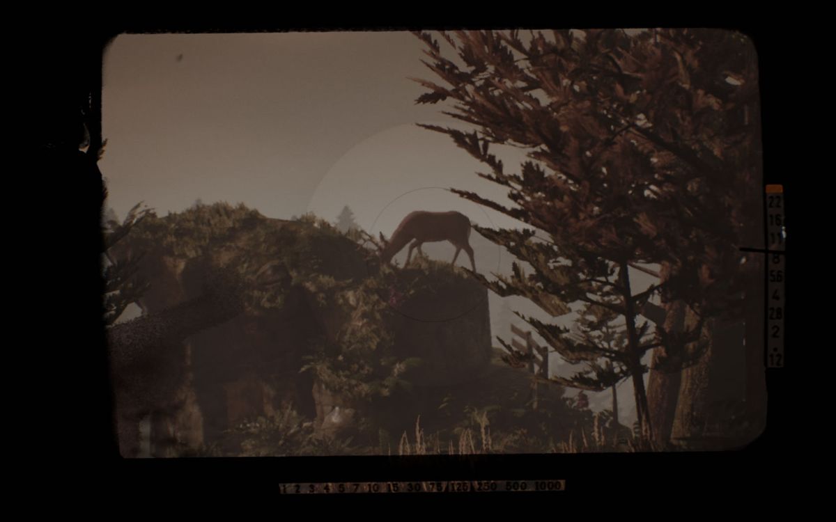 Screenshot of What Remains of Edith Finch (Windows, 2017) - MobyGames Screenshot of What Remains of Edith Finch (Windows, 2017) - MobyGames