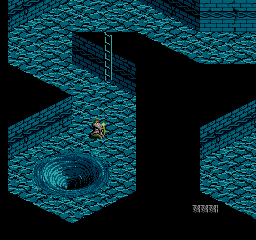 Screenshot of The Immortal (NES, 1990) - MobyGames