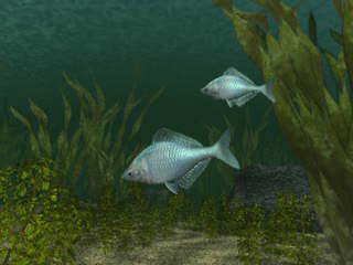 Screenshot of Reel Fishing (PlayStation, 1996) - MobyGames
