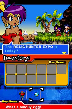 Screenshot of Shantae: Risky's Revenge (Nintendo DSi, 2010) - MobyGames