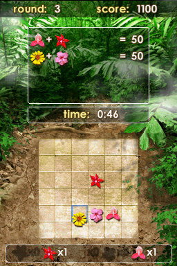 Screenshot of Zenses: Rainforest (Nintendo DS, 2008) - MobyGames