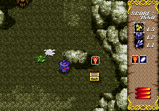 Screenshot of Twinkle Tale (Genesis, 1992) - MobyGames