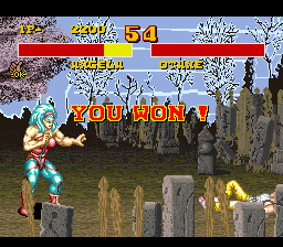 Screenshot of Power Instinct (SNES, 1993) - MobyGames