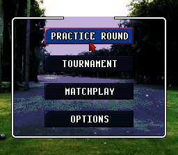 Screenshot of World Masters Golf (SNES, 1995) - MobyGames
