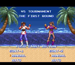 Screenshot of Ultimate Fighter (SNES, 1992) - MobyGames