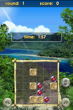 Screenshot of Zenses: Rainforest (Nintendo DS, 2008) - MobyGames