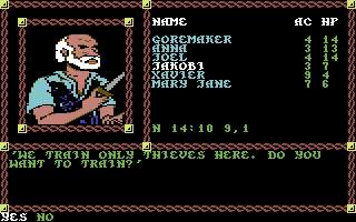 Screenshot of Pool of Radiance (Commodore 64, 1988) - MobyGames