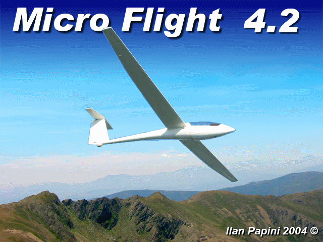 Micro Flight (2000) - MobyGames