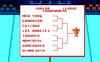 Screenshot of Blades of Steel (DOS, 1987) - MobyGames