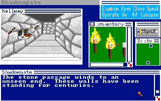 Screenshot of Shadowgate (Amiga, 1987) - MobyGames