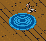 Screenshot of Catz (Game Boy Color, 1999) - MobyGames