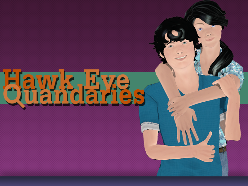 Hawk Eye Quandaries (2015) - MobyGames