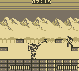 Screenshot of Castlevania: The Adventure (Game Boy, 1989) - MobyGames