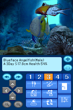 Screenshot of Aquarium by DS (Nintendo DS, 2007) - MobyGames