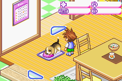 Screenshot of Dogz (Game Boy Advance, 2004) - MobyGames