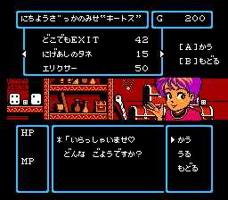 Screenshot of Sugoro Quest: Dice no Senshi Tachi (NES, 1991) - MobyGames