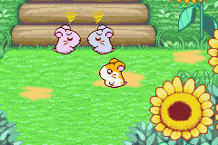 Screenshot of Hamtaro: Ham-Ham Heartbreak (Game Boy Advance, 2002 ...