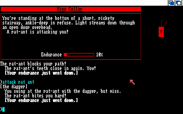 Screenshot of Beyond Zork: The Coconut of Quendor (Amiga, 1987) - MobyGames