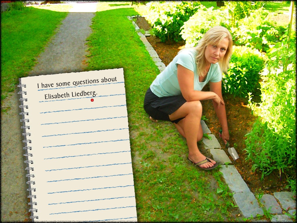 Screenshot of Time Stand Still (Windows, 2006) - MobyGames