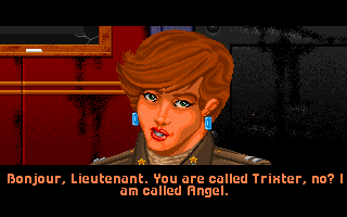 Screenshot of Wing Commander (DOS, 1990) - MobyGames