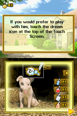 Screenshot of Crazy Pig (Nintendo DS, 2007) - MobyGames