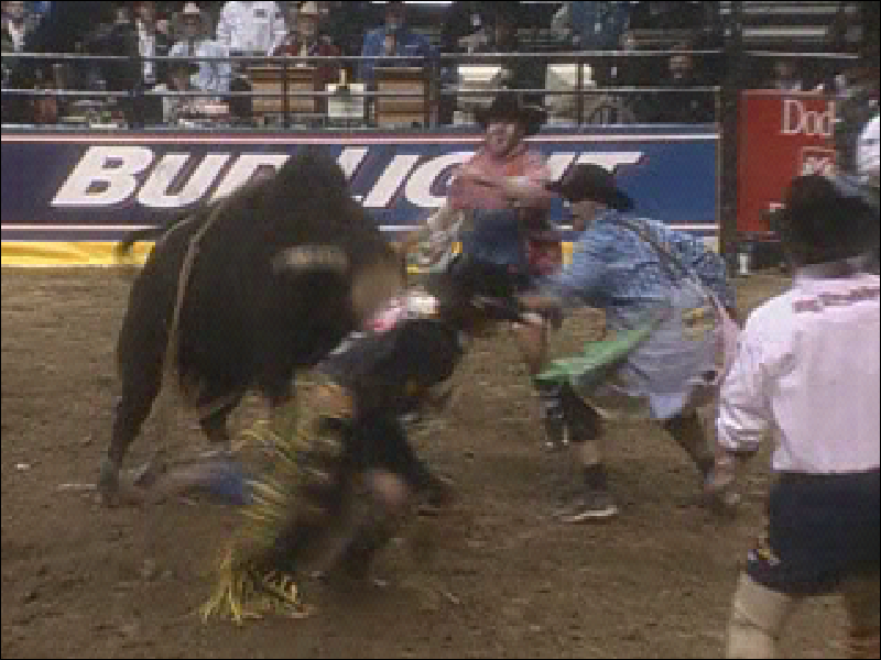 Professional Bull Rider 2 screenshots - MobyGames