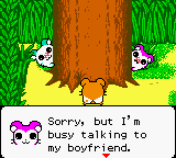 Screenshot of Hamtaro: Ham-Hams Unite! (Game Boy Color, 2001) - MobyGames