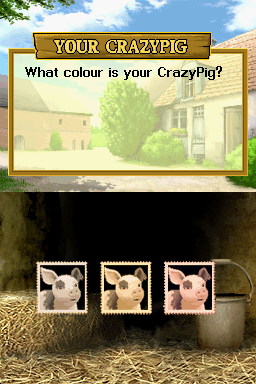 Screenshot of Crazy Pig (Nintendo DS, 2007) - MobyGames