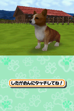 Screenshot of Animal Paradise (Nintendo DS, 2008) - MobyGames