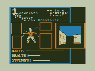 Labyrinth Master (1989) - MobyGames