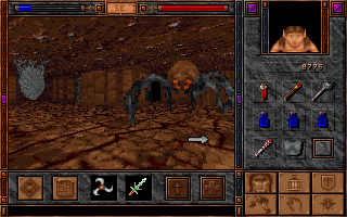 Screenshot of Shadowcaster (DOS, 1993) - MobyGames
