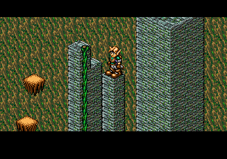 Screenshot of Landstalker (Genesis, 1992) - MobyGames